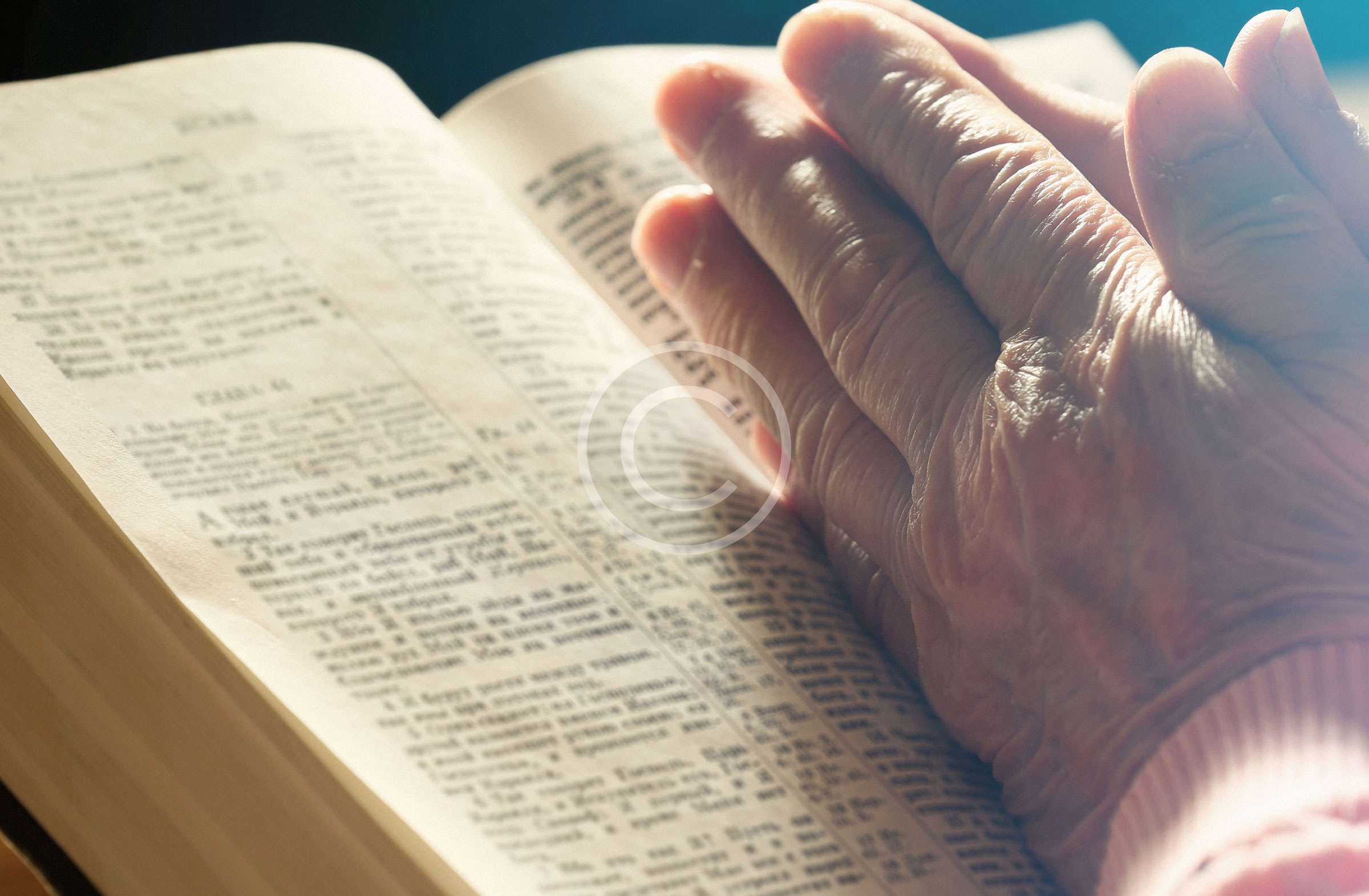 Rich Calendar Features – IMC Organization Limited 國際多元文化促進會